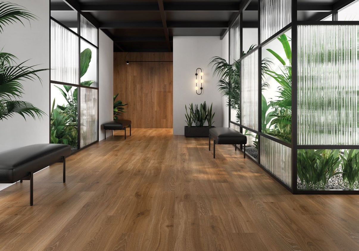 Borneo – BOLD Surfaces