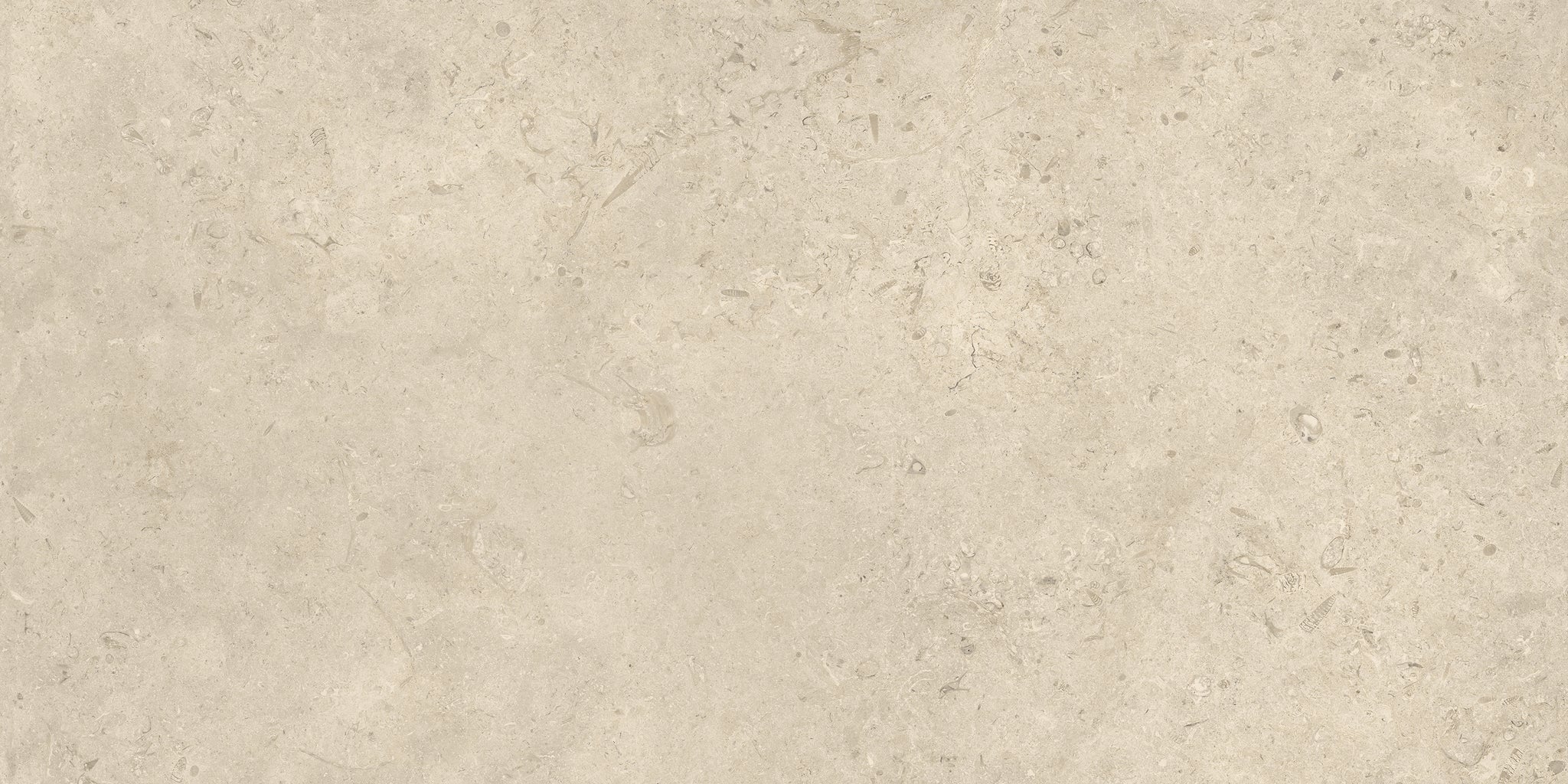 Shalem – BOLD Surfaces