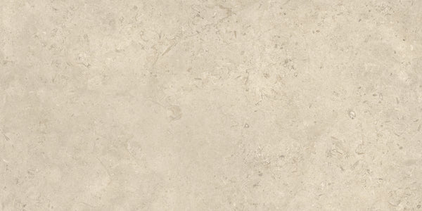 Shalem – BOLD Surfaces